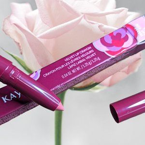 Mary Kay | Makeup | Mary Kay Limited Edition Velvet Lip Crayon Pink ...
